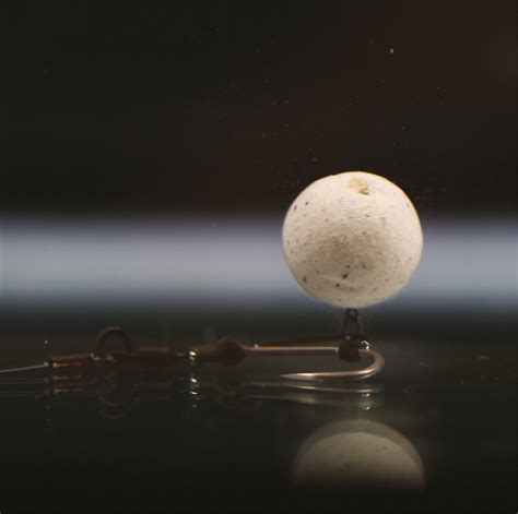 Danny Fairbrass Spin On The Spinner Rig
