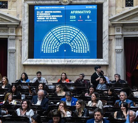 Diputados Aprobó Crear Un Registro De Deudores Alimentarios Y El Alivio