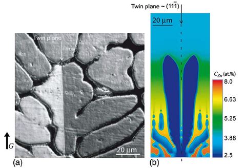 A Longitudinal Section Of A Quenched 110 Twinned