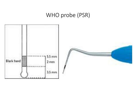 Ppt Assessment Instruments Explorers And Probes Powerpoint Presentation Id6700908