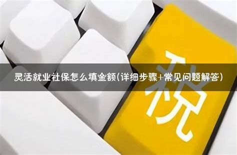 灵活就业社保怎么填金额详细步骤常见问题解答 灵活用工代发工资平台