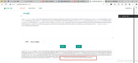 ctfhub web ssrf（fastcgi协议 dns重绑定 bypass） dns重绑定 ctfhub csdn博客