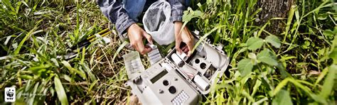United For Wildlife Launches Digital Conservation Technology Network