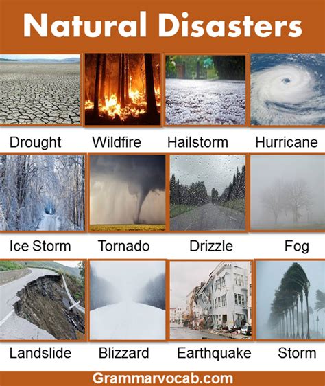 Natural Disasters List Of Common Natural Disasters Wi Vrogue Co