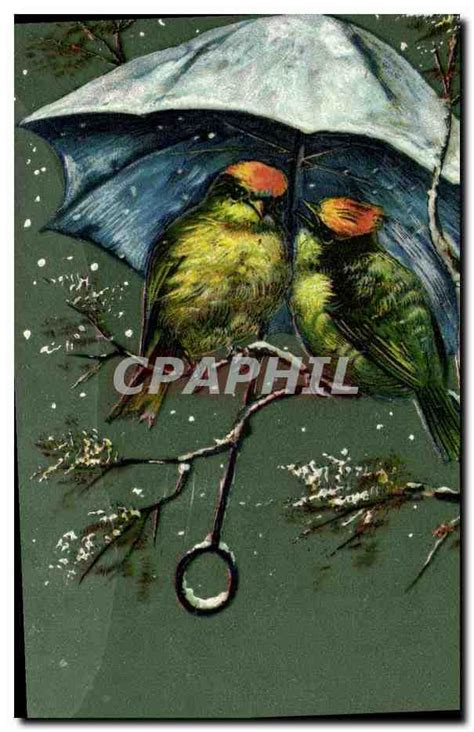 Carte Postale Ancienne Oiseaux Manuskript Papierantiquität Cpaphil