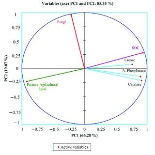 Principal Component Analysis PCA And Correlation Circle For Principal Download Scientific