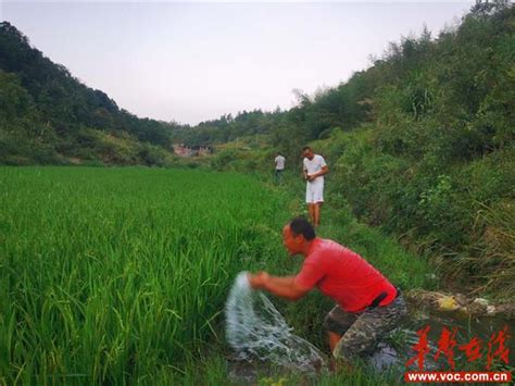 岩口铺镇：县纪委驻村工作队筑路修渠解民困 华声在线邵阳频道