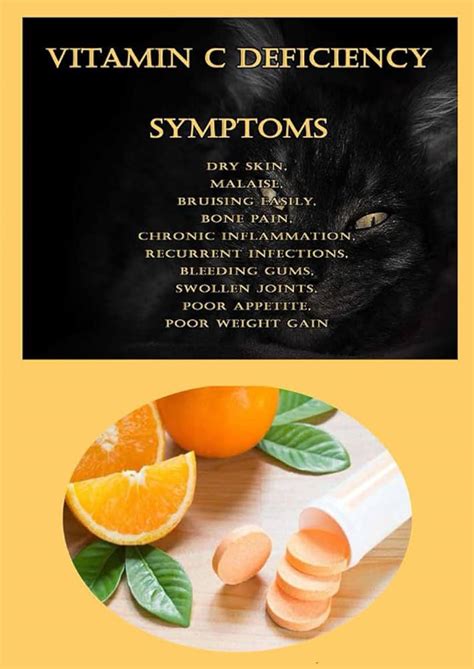 Vitamin C Deficiency Bones