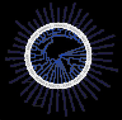Single Nucleus Rna Sequencing Pros And Cons To Consider