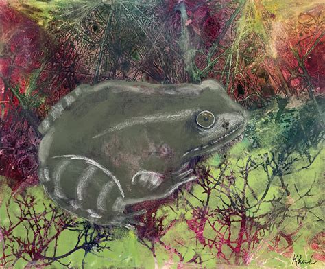 Endangered Gopher Frog Chautauqua Visual Arts