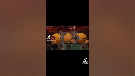 котики такие милие Youtube