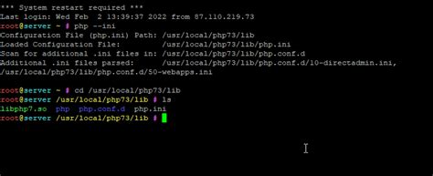 How DirectAdmin Users Can Fix Exec Function Is Disabled In Php Ini Via SSH HostMaria Blog
