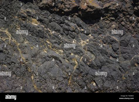 Intrusive Basalt Geology At St Monans Fife Scotland Uk Natural
