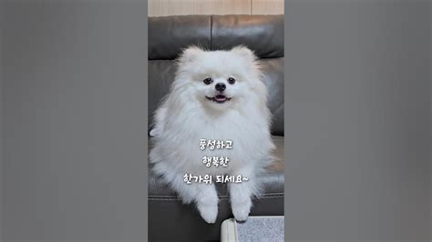 즐거운 한가위 되세요😊 Youtube