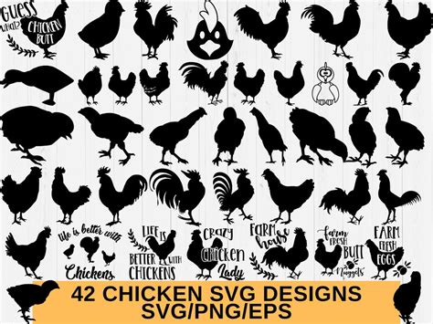 Chicken Svg Bundle Hand Drawn Rooster Svg Bundle Chicken Etsy
