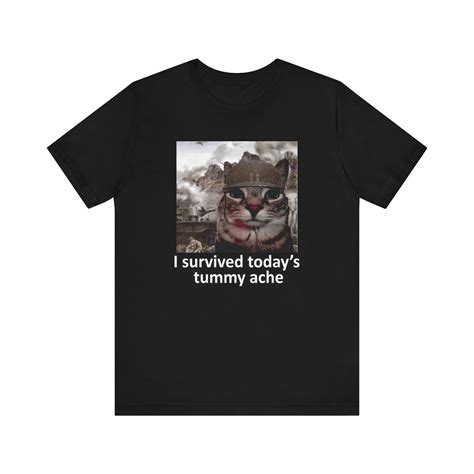 I Survived Todays Tummy Ache Unisex Meme T Shirt Etsy Australia