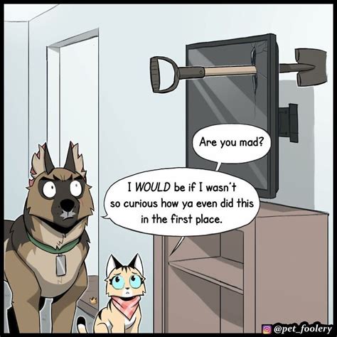 Artist Illustrates True Animal Friendship Between Pixie And Brutus And