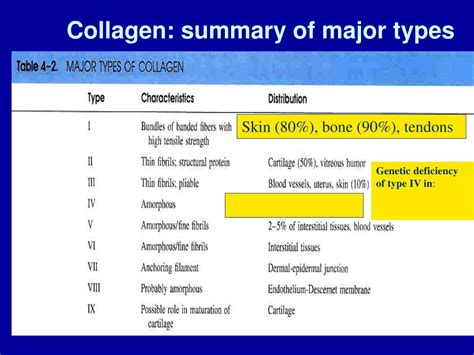 Ppt First Foundations In Pathology Part 3 Growth And Repair
