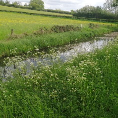 About Landowners Wessex Waterways