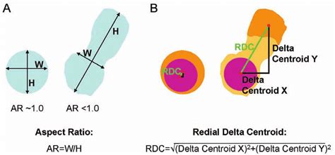 Aspect Ratio Ar And Radial Delta Centroid Rdc Calculation Formulas Download Scientific
