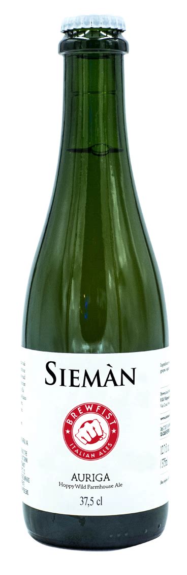 Auriga Brewfist Italian Ales