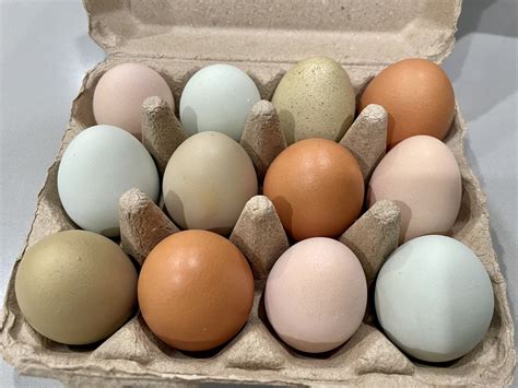 Clover Road Photography Added A Clover Road Photography