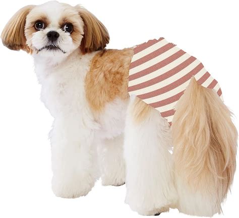 Amazon ペティオ Petio 犬用オムツ フレス たっぷり吸収するエチケットパンツ 女の子用 M14枚 ペティオ