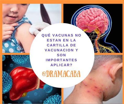 🧠 Meningococo 📍la Enfermedad Meningocócica Es Una Enfermedad Grave