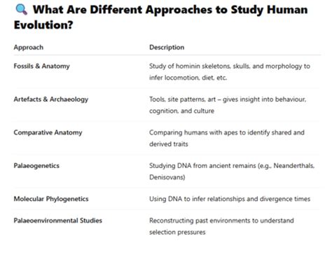 Human Evolution Lecture 6 Main Questions Flashcards Quizlet