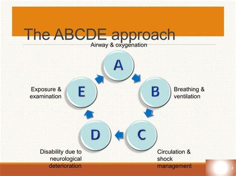 Abcde Approach To The Critically Ill Patient