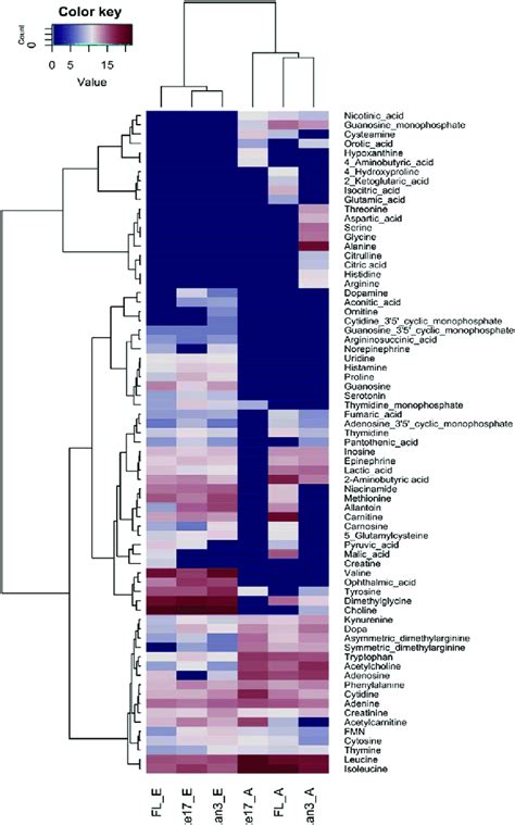 Hierarchical Clustering Analysis Of Different Primary Metabolites Download Scientific Diagram