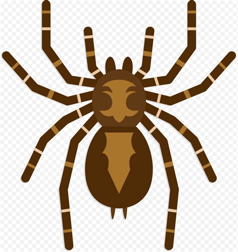 Araña de dibujos animados Arácnido Insecto Membrana Tarántula