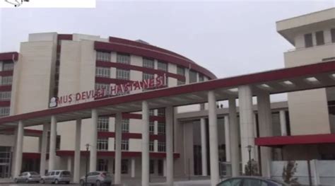 Muş Devlet Hastanesi Beyin ve Sinir Cerrahisi Doktorları 2025