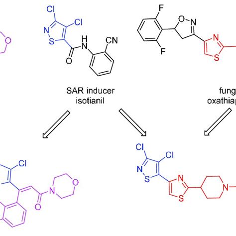 Scheme 1 Design Strategy Of Previously Synthesized Fungicidal