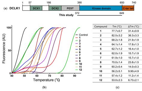 A Clinical Library Screening Against The Kinase Domain Of Download