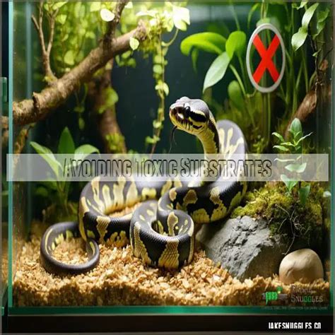 Ball Python Terrarium Setup Easy Tips For A Perfect Snake Habitat