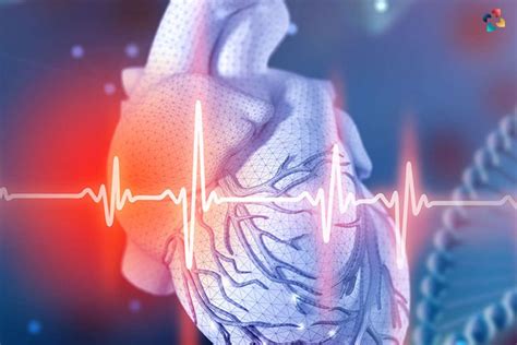 Understanding Electrophysiology Exploring The Intricacies Of Cellular