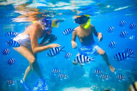 Cook Islands Lagoon Snorkeling Tour 2025 Rarotonga Book Now