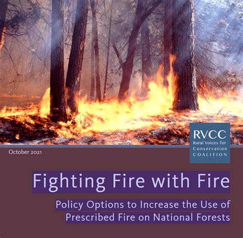 The Smokey Wire National Forest News And Views Community Sourced
