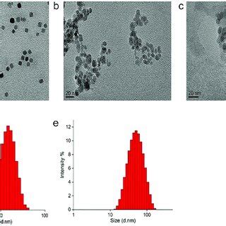 Particle Size Characterization Of Nanoparticles TEM Images Of Fe 3 O 4