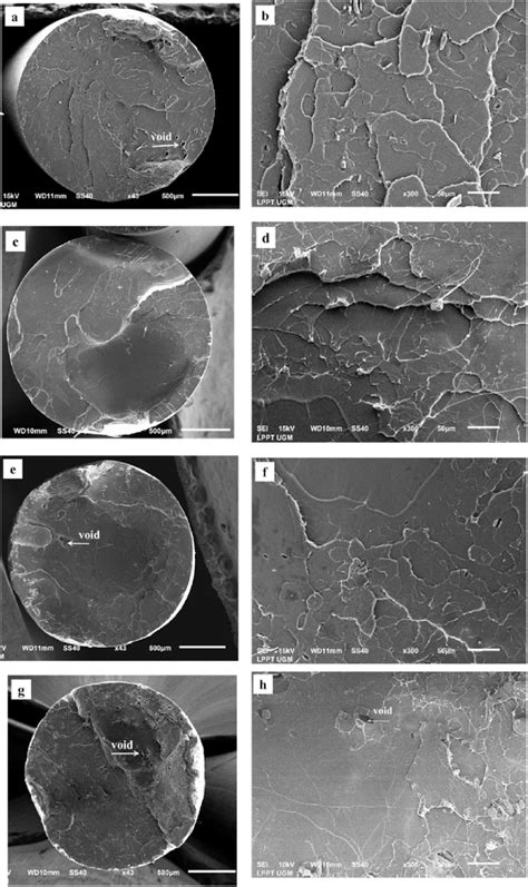 Sem Images Of The Tensile Fracture Surface Of Neat Pla And Pla Cnc