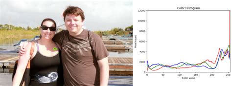 Interpolating Color Image Histograms Using Sliced Optimal Transport The Blog At The Bottom Of