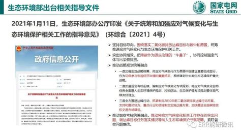 碳达峰与碳中和国际政策背景及中国方案 国网