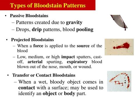 Three Types Of Bloodstain Patterns At Winston Blanton Blog