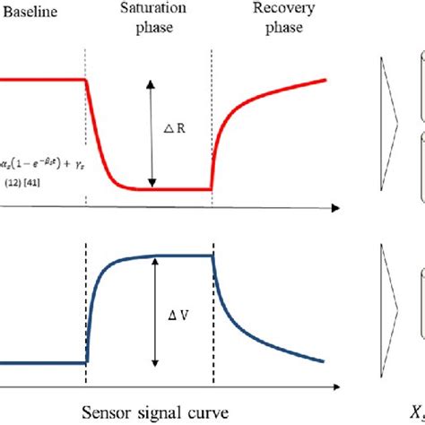 the saturation and recovery curve of sensor signal and x s preparation