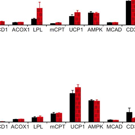 Robert Eckel Professor Full University Of Colorado Co Ucd