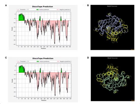 Figure Ee Disco Tope Discontinuous Conformational Antibody Epitope