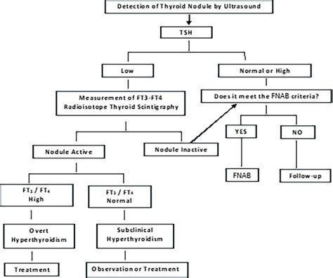Thyroid Nodules And Biopsy Intechopen
