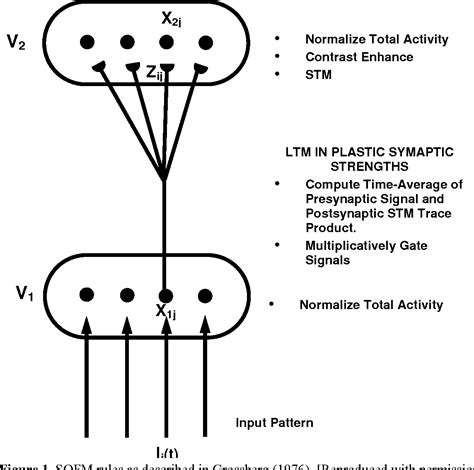 Figure 1 From Physiological Interpretation Of The Self Organizing Map