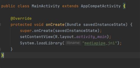 Dllnotfoundexception Unable To Load Dll Mediapipe Jni The Specified